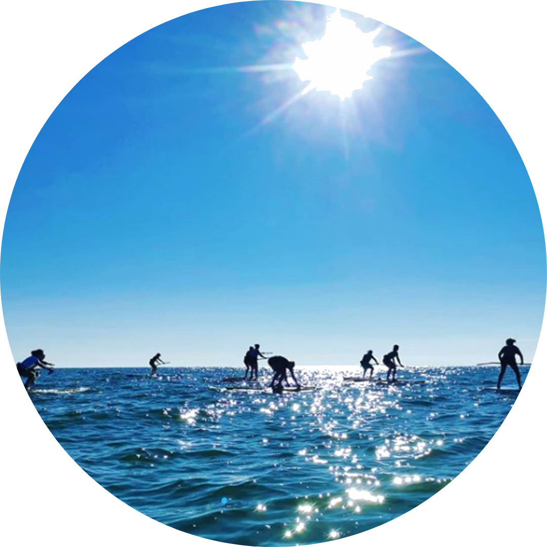 Urban Surf | Watersport Rentals, Classes, Events, Bikes, MarinaUrban ...